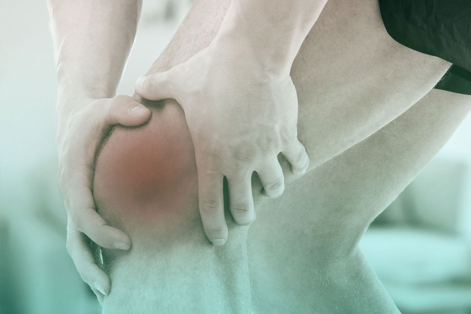 FizzUp's Easy on the Knees Program: Simple Workouts to Keep You Active ...